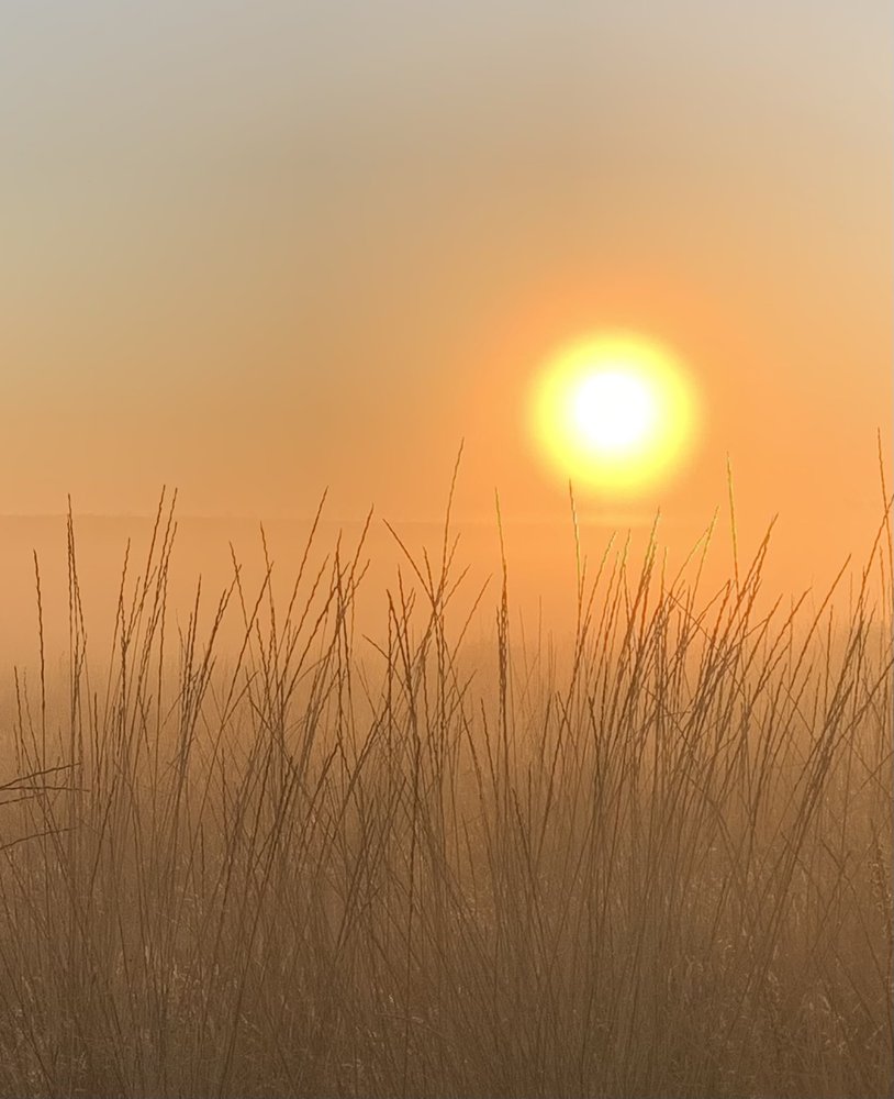 SOULS CENTER - Updated April 2024 - 707 N Cedar St, Spokane, Washington ...