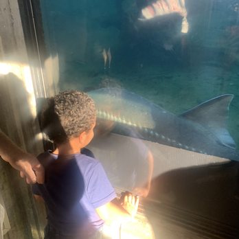 BONNEVILLE DAM FISH HATCHERY - Updated September 2024 - 469 Photos ...