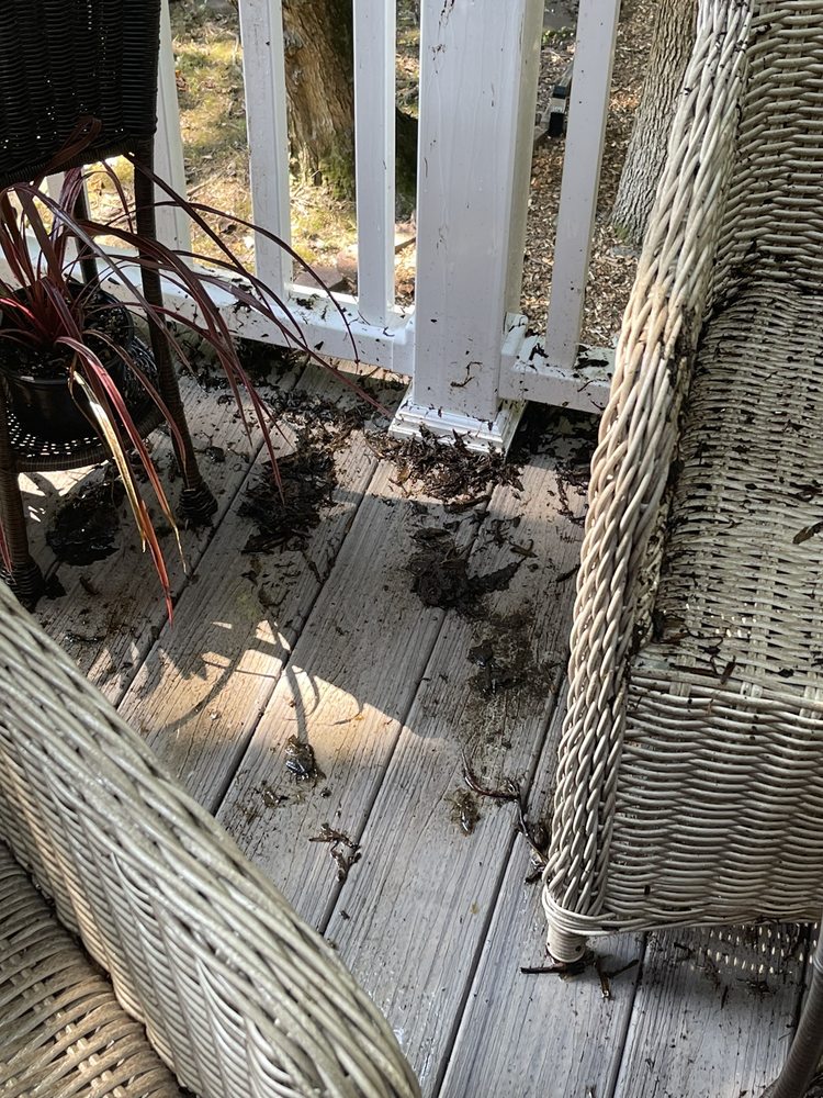 AROCON - Updated January 2026 - 35 Photos & 73 Reviews - 101 John St ...