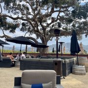 BRICK BARN WINE ESTATE - 220 Photos & 170 Reviews - 795 W Hwy 246 ...