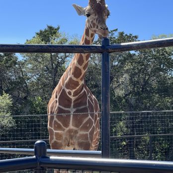 NATURAL BRIDGE WILDLIFE RANCH - Updated December 2025 - 1806 Photos ...