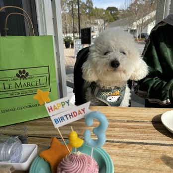 LE MARCEL BAKERY FOR DOGS - Updated August 2025 - 271 Photos & 166 ...