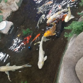 THE OCEAN FLOOR - 108 Photos & 162 Reviews - 2347 W Thomas Rd, Phoenix ...