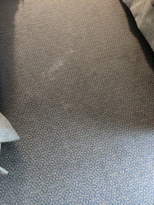 BOARDERS INN & SUITES BY COBBLESTONE HOTEL - FARIBAULT - Updated August ...