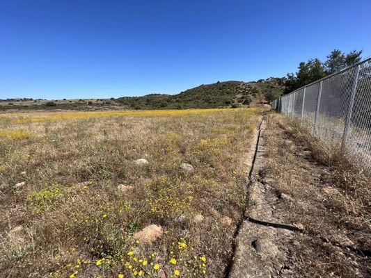 WRIGHT’S FIELD - Updated May 2026 - 224 Photos - 1951 Tavern Rd, Alpine ...
