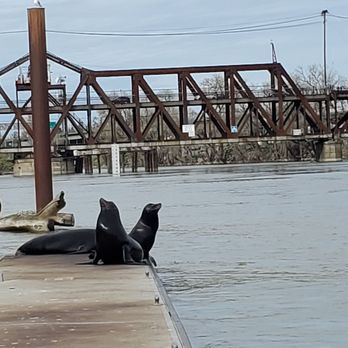 RIVER WALK PARK - Updated August 2025 - 124 Photos & 20 Reviews - 651 ...