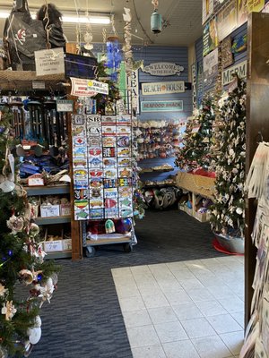 CALIFORNIA SEASHELL COMPANY - Updated June 2024 - 81 Photos & 89 ...