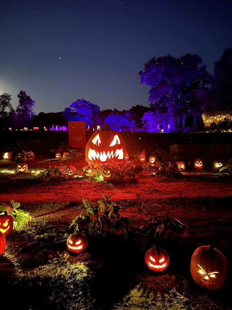 HARBAUGH VILLAGE - Updated December 2025 - 69 Photos & 12 Reviews - 126 ...