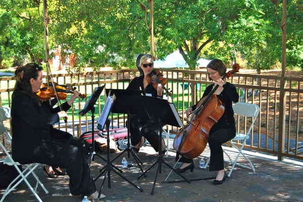 PACIFIC STRINGS - QUARTET, TRIO, DUET - 19 Photos & 17 Reviews ...