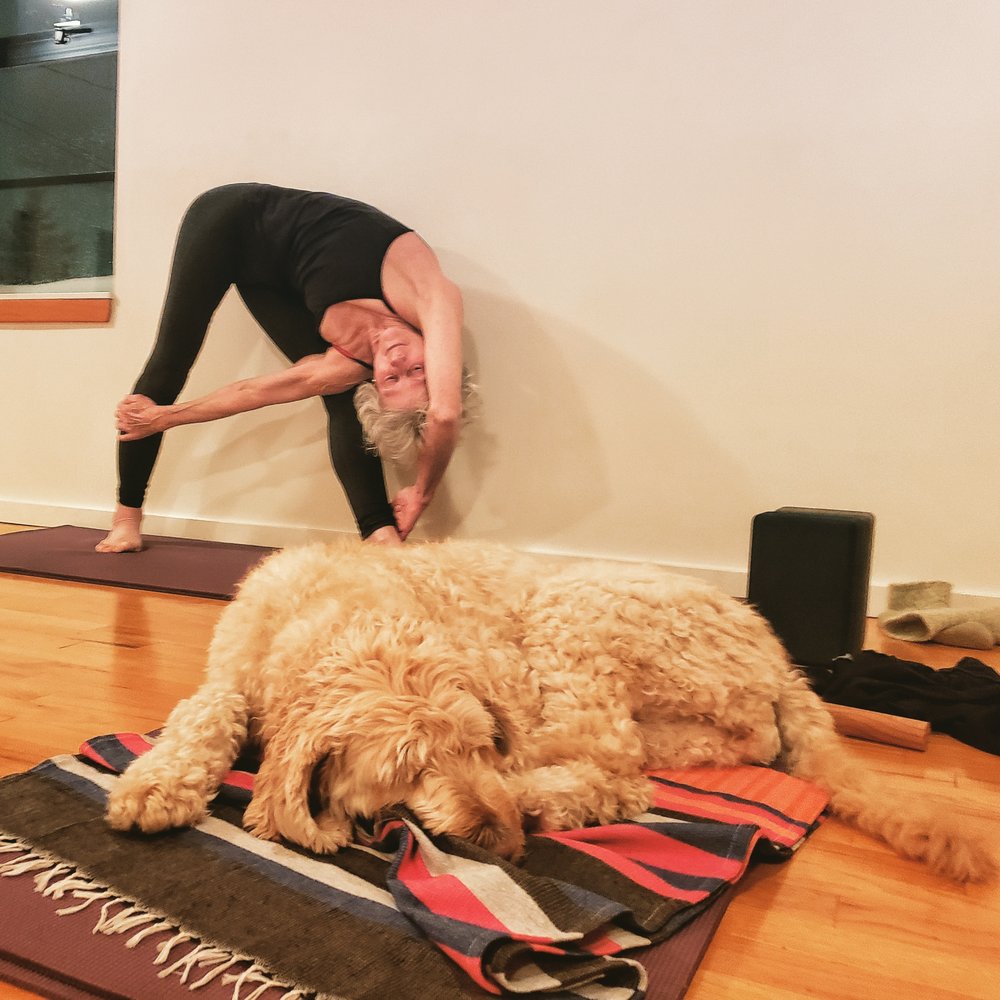 MICHELLE RUBIN YOGA - Updated September 2024 - Request Information - 26 ...