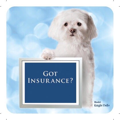 KNIGHT INSURANCE GROUP - Updated July 2025 - 13 Photos - Phoenix ...