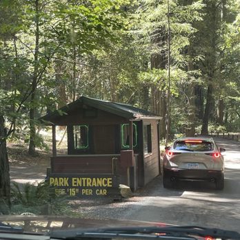 DRIVE-THRU TREE - Updated December 2025 - 587 Photos & 201 Reviews ...