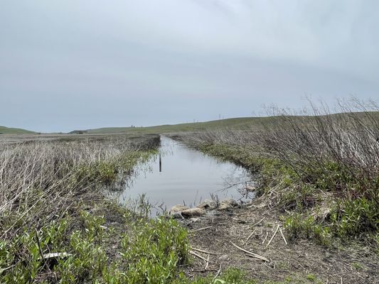 TOLAY LAKE REGIONAL PARK - Updated October 2025 - 143 Photos & 12 ...