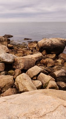 BLUFF POINT STATE PARK - 181 Photos & 81 Reviews - 1 Depot Rd, Groton ...