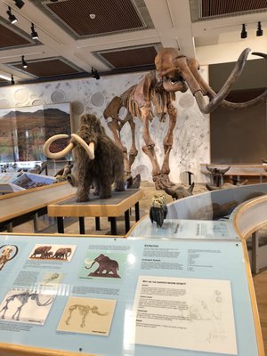 STATE HISTORICAL MUSEUM - 125 Photos & 19 Reviews - 600 E Locust St ...