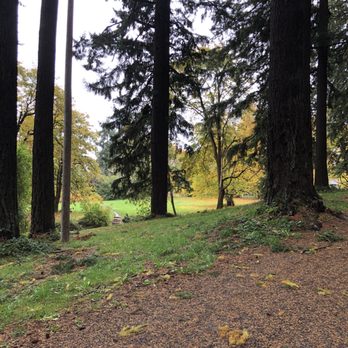 PIER PARK - Updated July 2025 - 58 Photos & 56 Reviews - N Lombard St ...