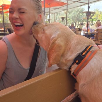 OHSO BREWERY- ARCADIA - Updated May 2025 - 1662 Photos & 1678 Reviews ...