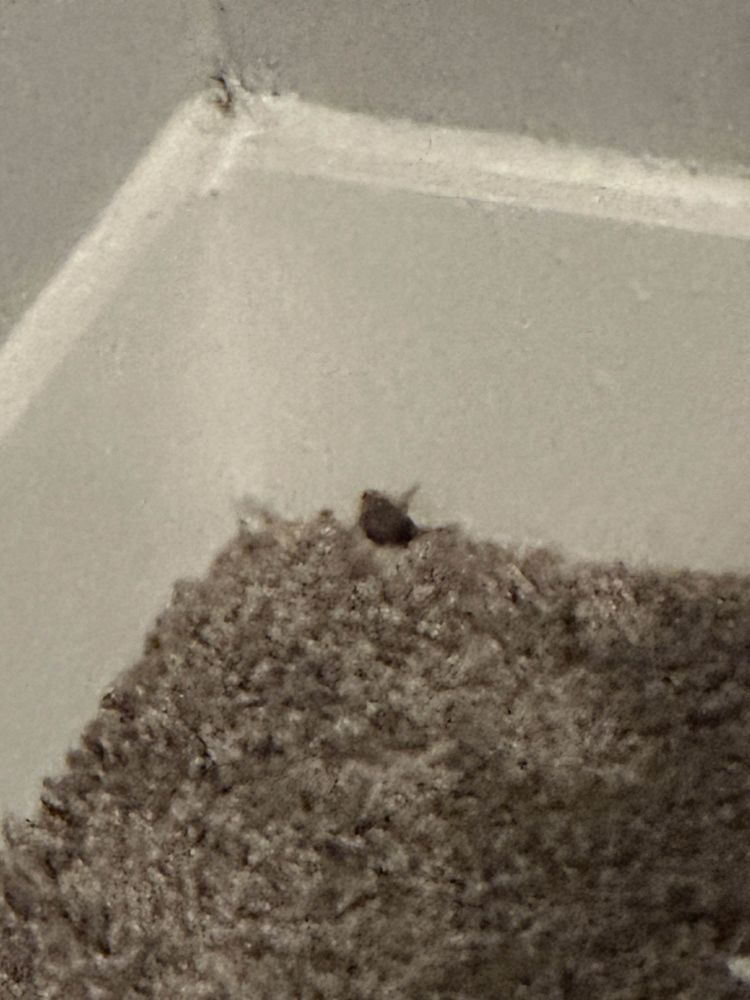 FIVETWO AT HIGHLAND - Updated October 2025 - 14 Reviews - 110 Jacon Fontaine Ln, Austin, Texas ...