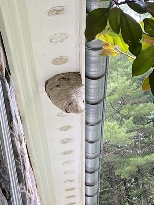 ARTERIX PEST CONTROL - Updated December 2025 - 36 Photos & 223 Reviews ...