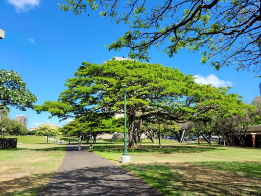 FRANK F FASI CIVIC CENTER - Updated May 2025 - 259 Photos - 530-650 S ...