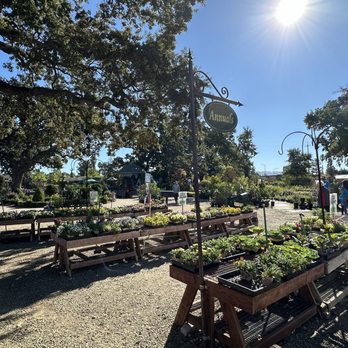 ALDEN LANE NURSERY - Updated December 2025 - 430 Photos & 235 Reviews ...