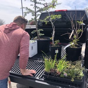 VALLEY NURSERY - Updated September 2025 - 48 Photos & 31 Reviews - 6484 ...