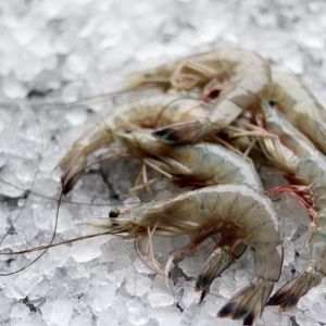 CAPITAL SEAFOOD MARKET - Updated December 2025 - 29 Photos & 44 Reviews ...