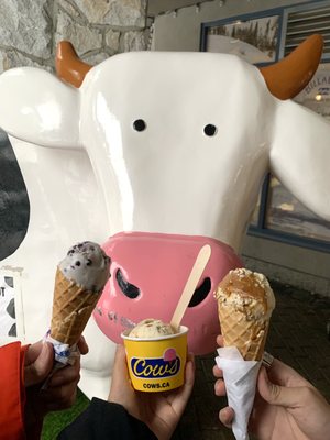 COWS - Updated July 2025 - 322 Photos & 273 Reviews - 4313 Main Street ...