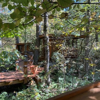 TREE TOPS RESTAURANT - Updated June 2025 - 286 Photos & 137 Reviews ...