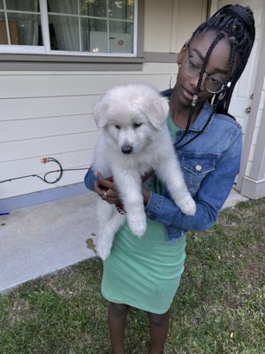 OREGON DOG RESCUE - Updated December 2025 - 50 Photos & 99 Reviews ...