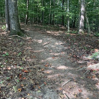 SHALLOW FORD NATURAL AREA - Updated October 2025 - 12 Photos - 1955 ...