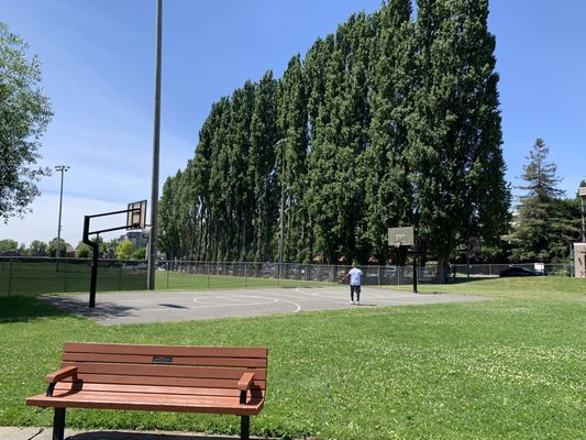 PETER KIRK PARK - 17 Photos & 16 Reviews - 202 3rd St, Kirkland ...