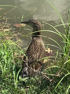 CULLER LAKE - Updated December 2025 - 50 Photos - Frederick, Maryland ...