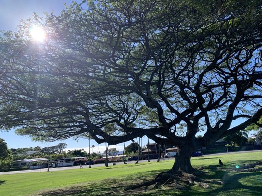 FORT RUGER MINI PARK / OPERATION RED WINGS MEDAL OF HONOR PARK ...