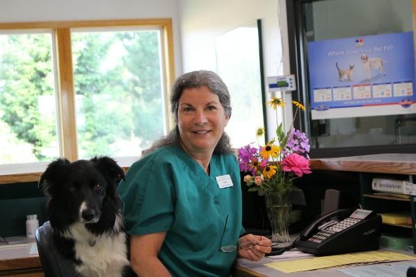 DEER PARK ANIMAL MEDICAL CENTER - Updated December 2025 - 20 Photos ...