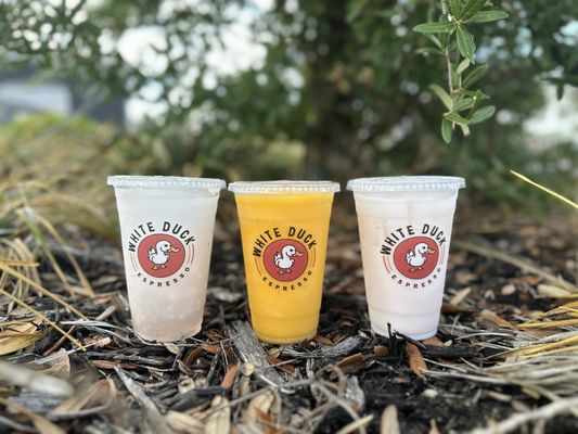 WHITE DUCK ESPRESSO - Updated September 2025 - 104 Photos & 56 Reviews ...