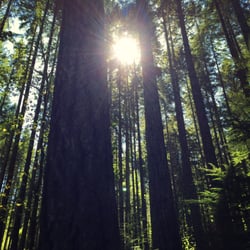 CISPUS LEARNING CENTER - 13 Photos - Elementary Schools - 2142 Cispus ...