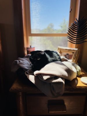 AVRIO PHARMACY - Updated January 2026 - 10 Photos & 83 Reviews - 9015 E ...