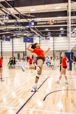 AT THE GROUNDS - Updated January 2025 - 429 Photos & 41 Reviews - 700 ...