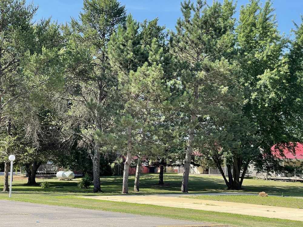 EDGE-O-DELLS RESORT - Updated May 2026 - 35 Photos & 25 Reviews - N555 ...