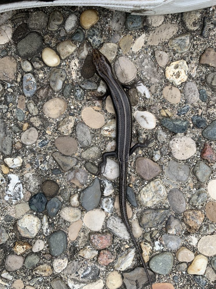 NOBLE SERVICES - Updated July 2024 - Bruceville, Indiana - Handyman ...