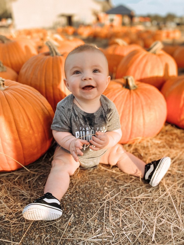 FAMILY FUN PUMPKIN PATCH - Updated January 2026 - 23 Photos - 4888 N ...