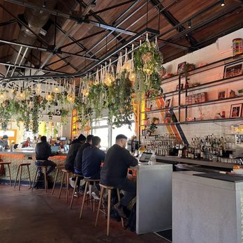 MUCHACHO - Updated July 2024 - 1008 Photos & 517 Reviews - 904 Memorial ...