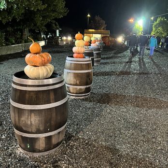 STALKER FARMS - Updated October 2025 - 51 Photos & 99 Reviews - 8705 ...