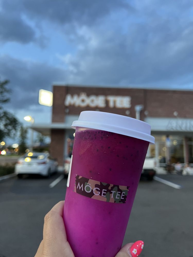 MÖGE TEE - WINTER GARDEN - Updated February 2025 - 144 Photos & 56 ...