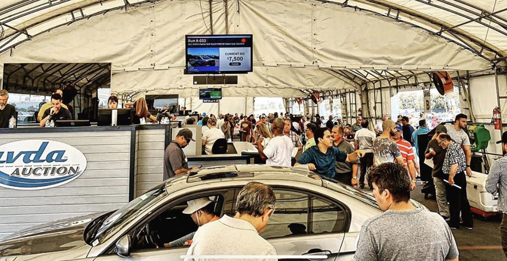 AVDA AUCTION, INC - Updated October 2025 - 13 Reviews - 7331 Laurel ...