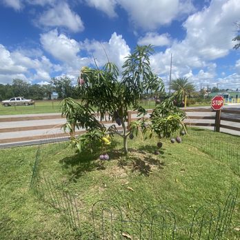 FAT BEET FARM - Updated June 2024 - 216 Photos & 108 Reviews - 13830 W ...