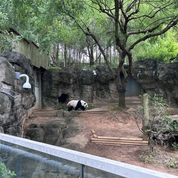 ZOO ATLANTA - Updated July 2024 - 2750 Photos & 646 Reviews - 800 ...