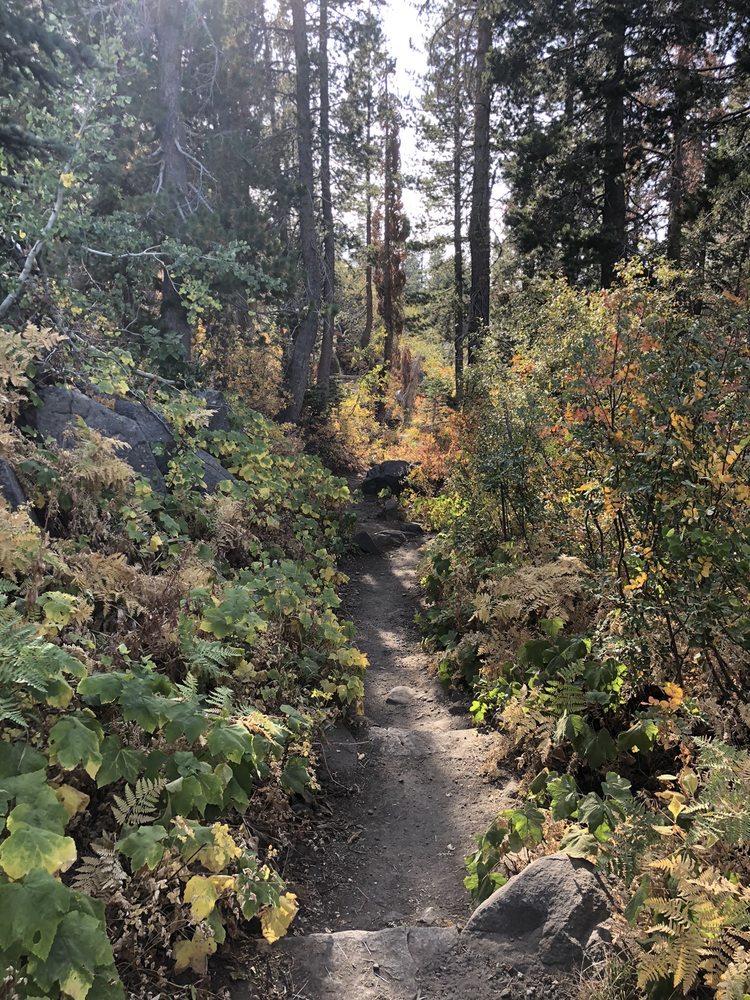 MOUNT JUDAH LOOP TRAIL - 58730 Old Donner Summit Rd, Truckee ...