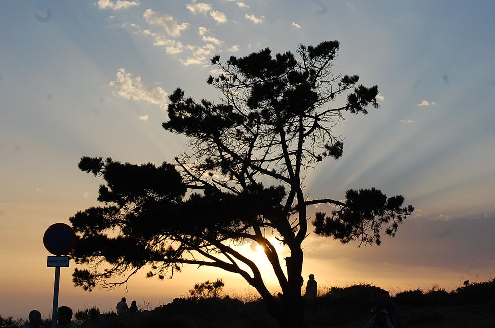 DELANEY & MURPHY, P.C. - Updated October 2025 - 88 Orchard Rd, Skillman ...